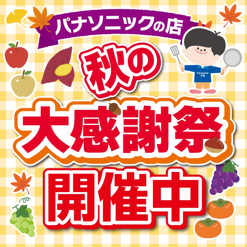 雷で家電が壊れる？すぐできる雷対策 ️ – SELAグループ